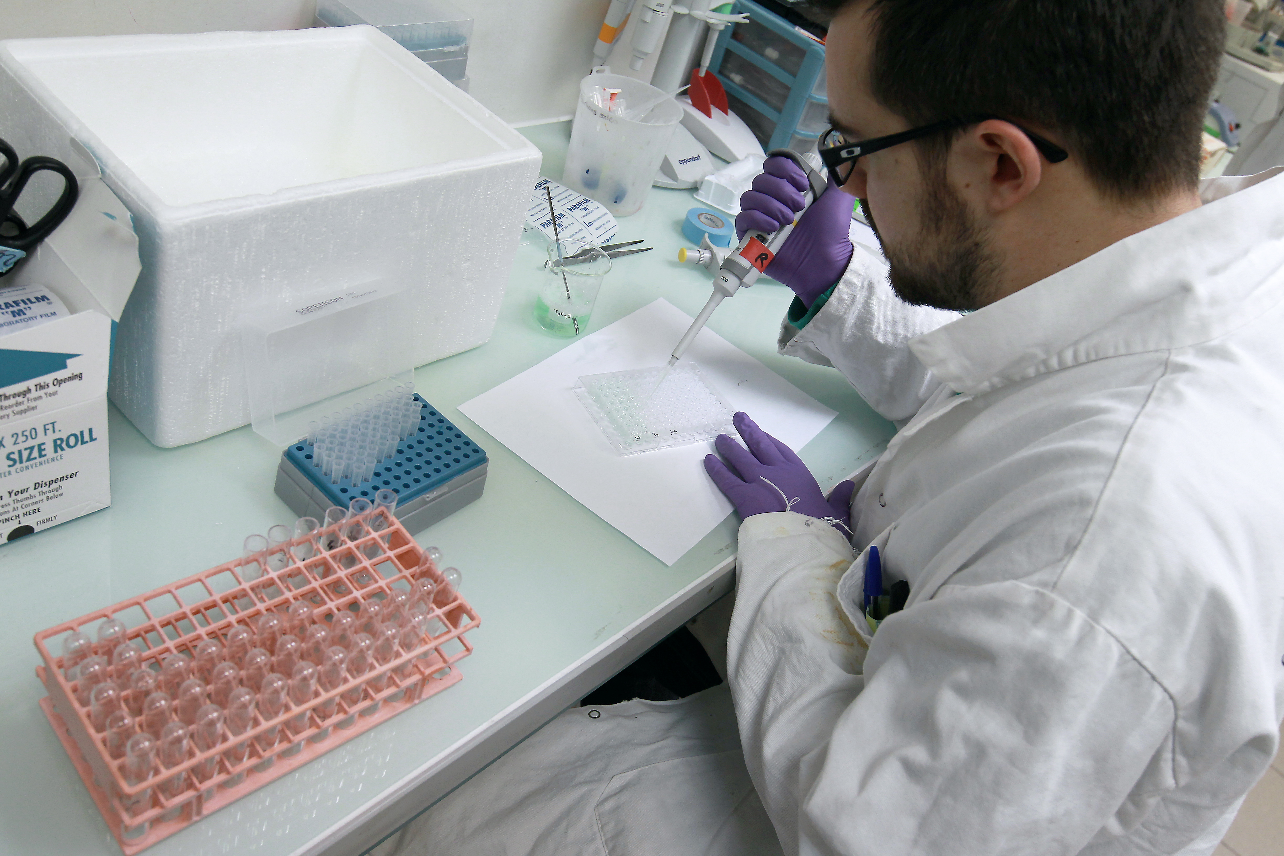 MSc Biotechnology - Biochemistry Track - La Rochelle Université