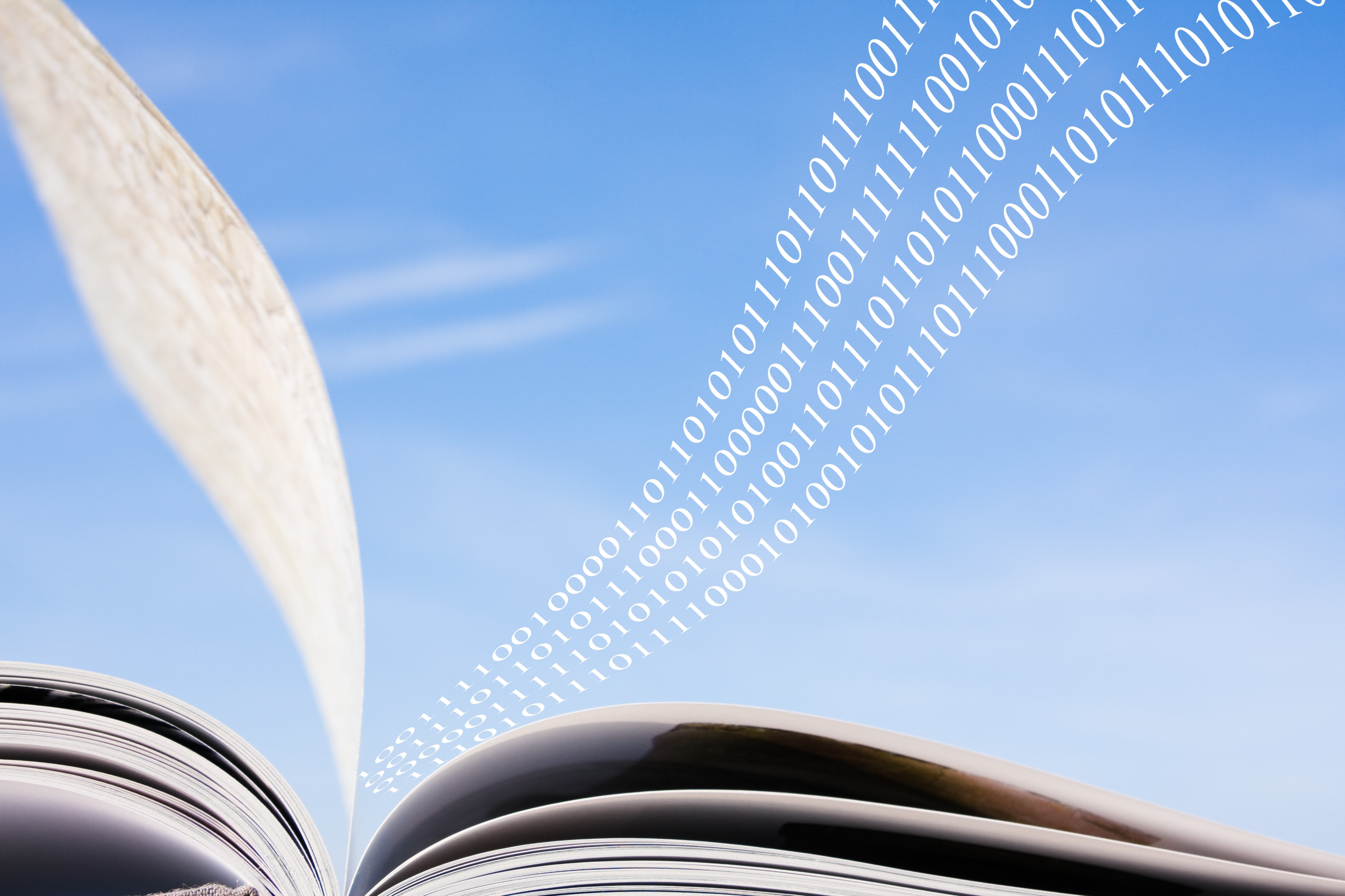 Master Informatique parcours Ingénierie des données - La Rochelle ...